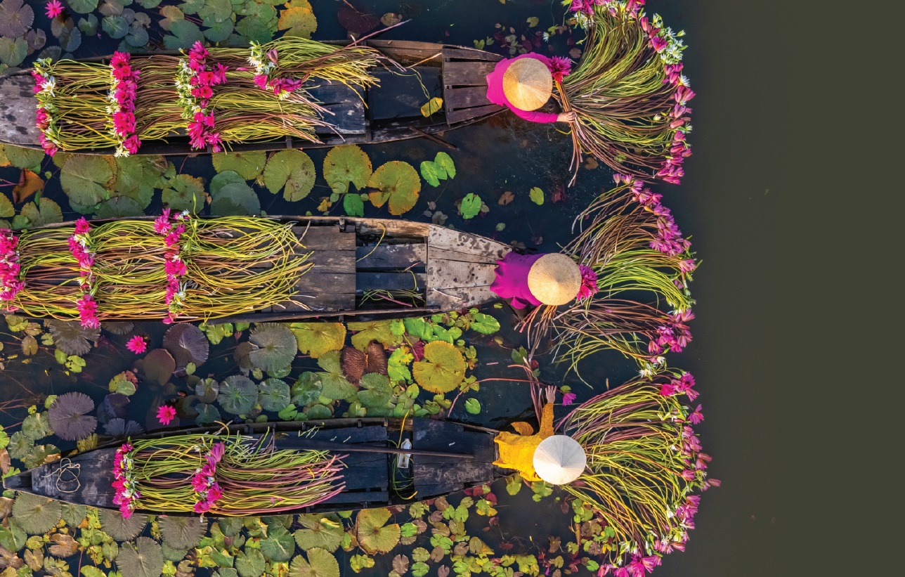 About Us - VinaCapital